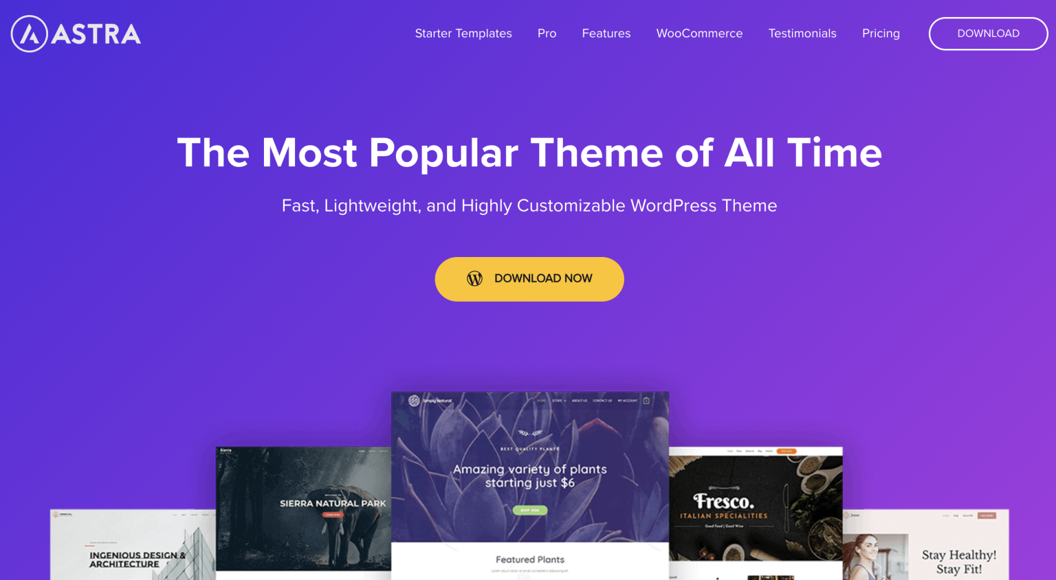 5 Powerful & Flexible WordPress Themes 2025 (Woo store owners will love ...