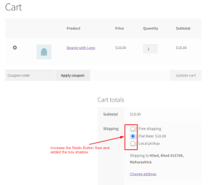How To Customize Shipping Method Radio Button Styles in WooCommerce ...